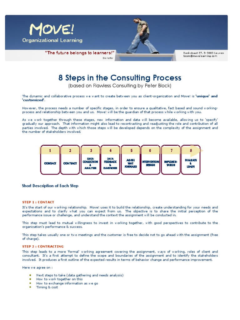8 Steps in The Consulting Process | PDF