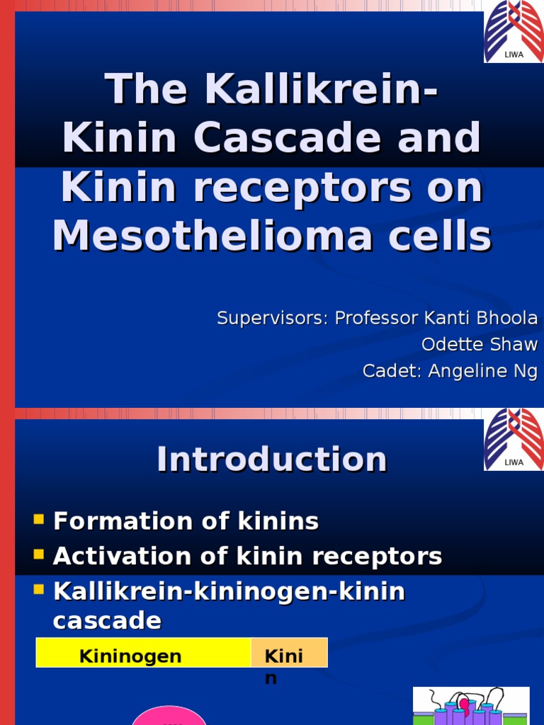 The Kallikrein-Kinin Cascade and Kinin Receptors On Mesothelioma Cells ...
