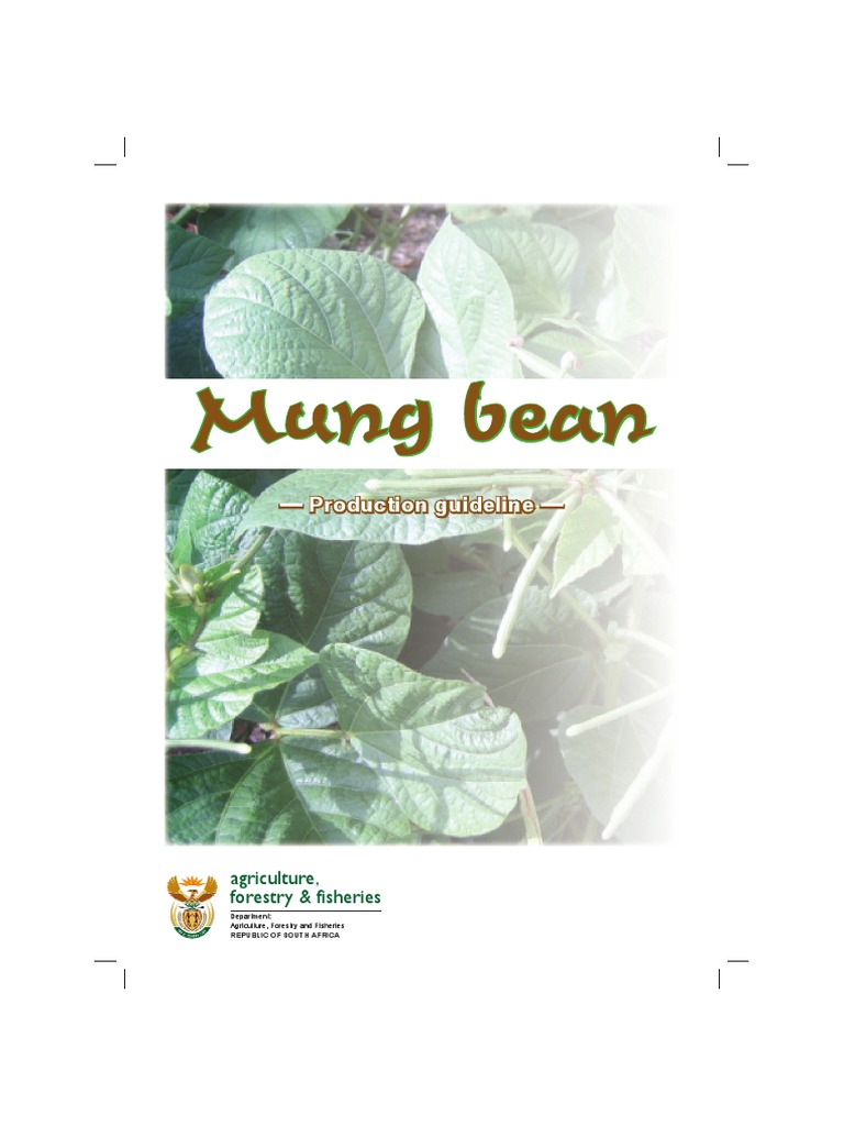 Mung Bean | PDF | Bean | Soil