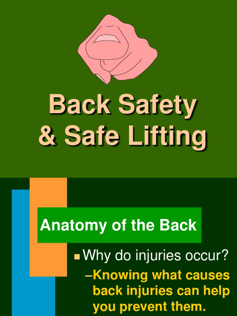 Back Safety & Safe Lifting | PDF | Human Anatomy | Injury