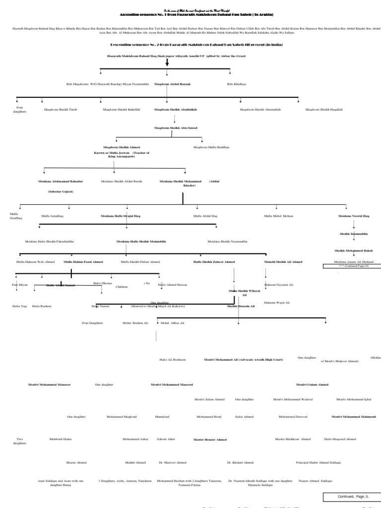 SHAjRAH (FAMiLY TREE-from Father's Side) | PDF