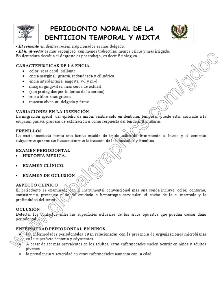 3 Periodonto Normal de La Denticion Temporal y Mixta | PDF | Diente ...
