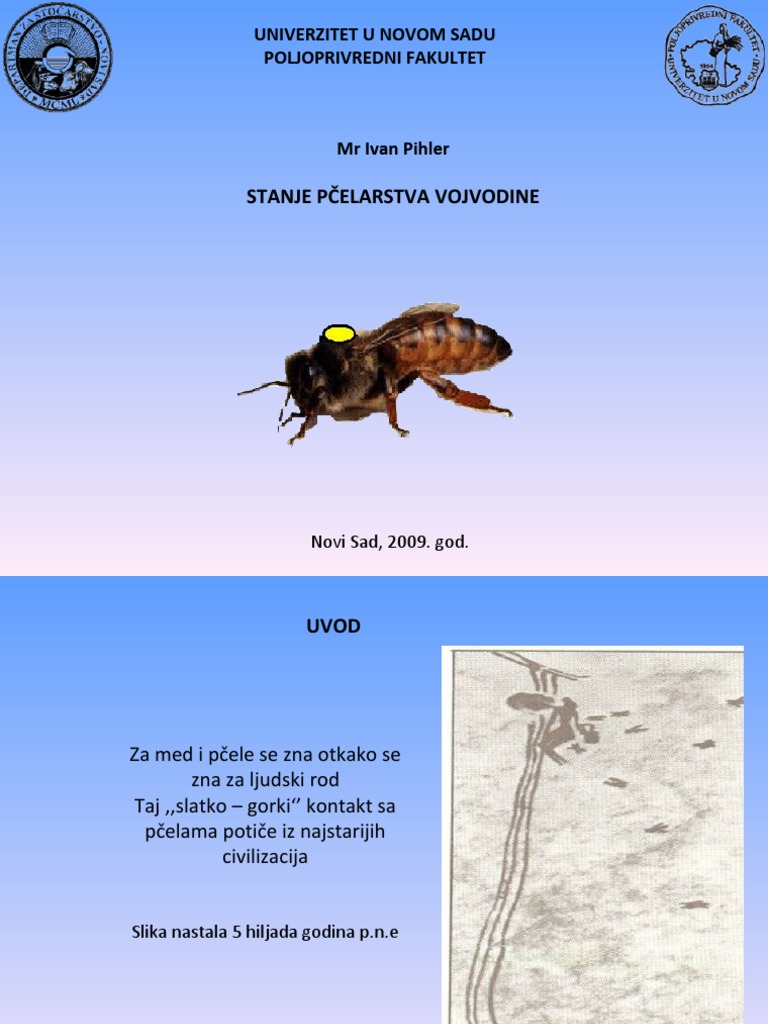 Pcele | PDF