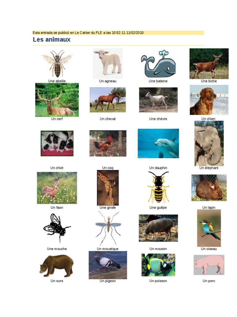 Liste des animaux domestiques en FLE | PDF