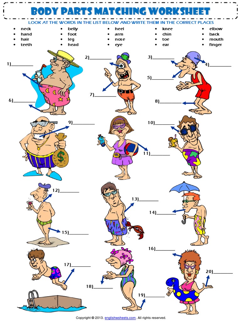 Body Parts Matching Exercise Vocabulary Worksheet | PDF