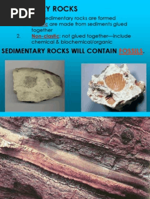Powerpoint Sedimentary Rock