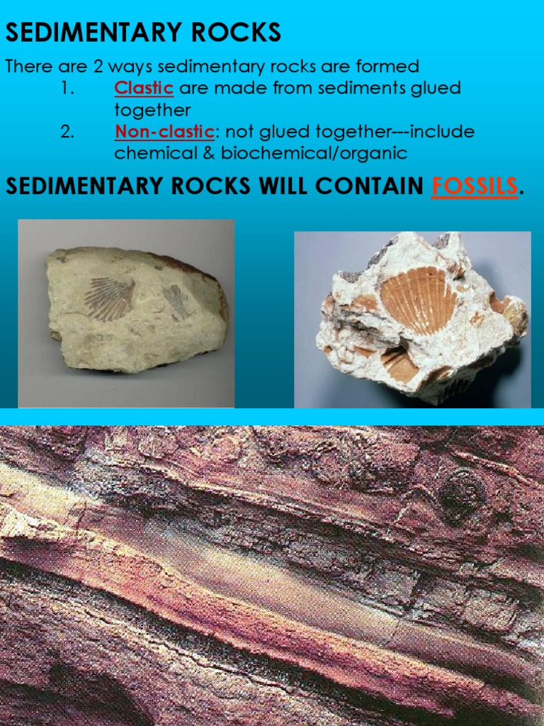 Formation of Sedimentary Rock PowerPoint | Sedimentary Rock | Clastic ...