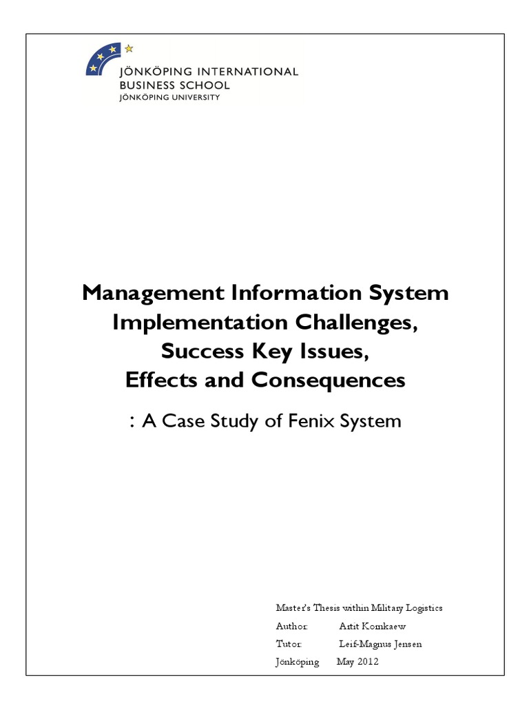 MIS Implementation Challenges and Sucess Case - MSC Thesis | PDF ...