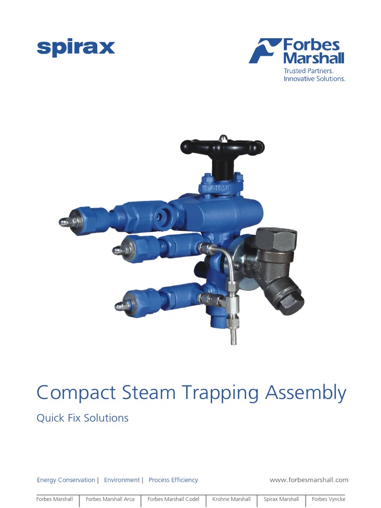 Compact Steam Trap Solutions | PDF | Valve | Steam