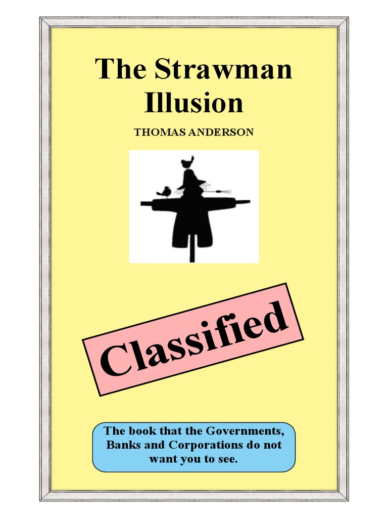 Straw Man | PDF | Evidence (Law) | Taxes