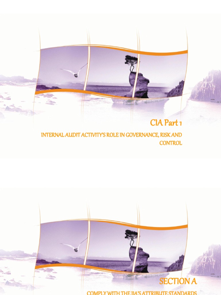 CIA Part 1 Slides | PDF | Internal Audit | Audit Committee