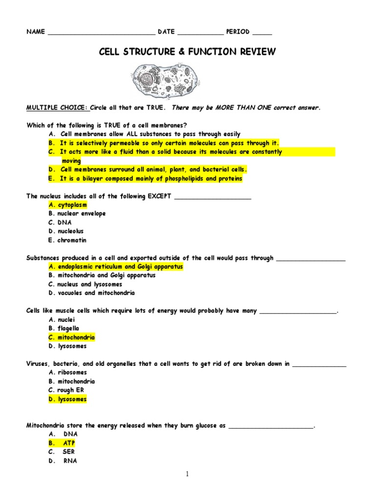 Cell Structure and Function Review: Analyzing a Document Containing ...
