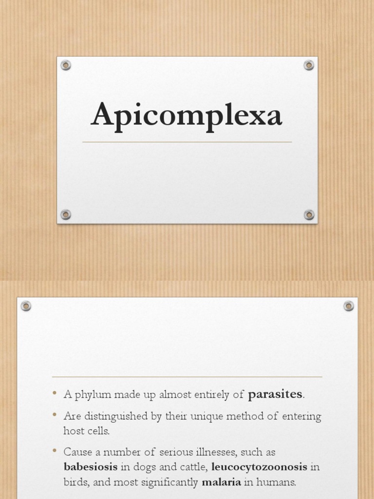 Apicomplexa | PDF | Biology | Wellness