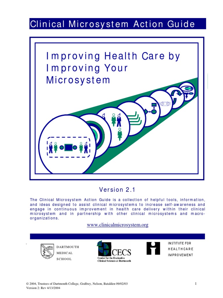 Clinical Microassessment Guide | PDF | Patient | Health Care
