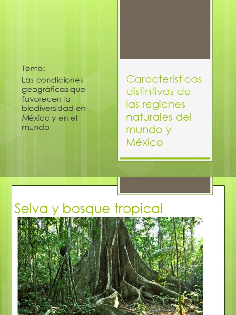 Características Distintivas de Las Regiones Naturales Del Mundo | PDF ...
