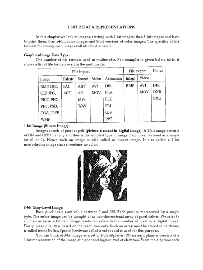 Unit 2 Data Representations | PDF | File Format | Media Technology