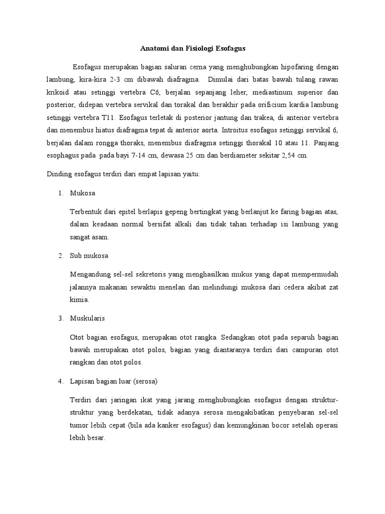 Anatomi Esofagus untuk Medis | PDF