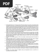 External Parts of Fish and Functions | PDF | Fish | Mouth