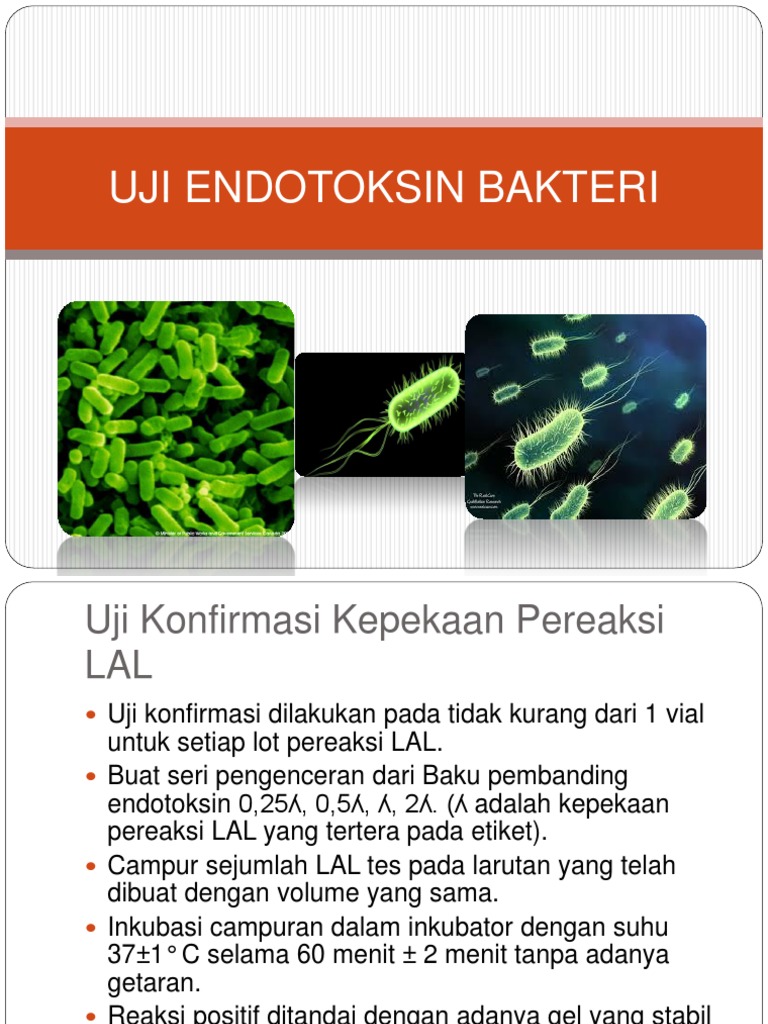 Uji Endotoksin 1 | PDF