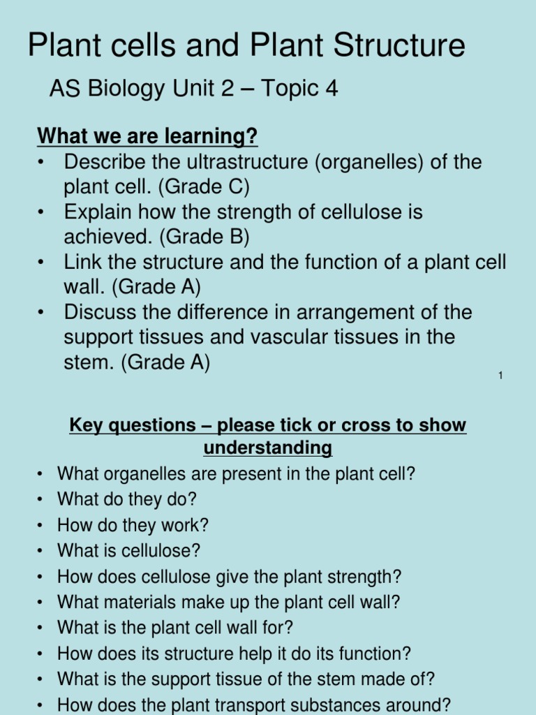 Plant Cell Structure & Function Guide | PDF | Tissue (Biology) | Cell Wall