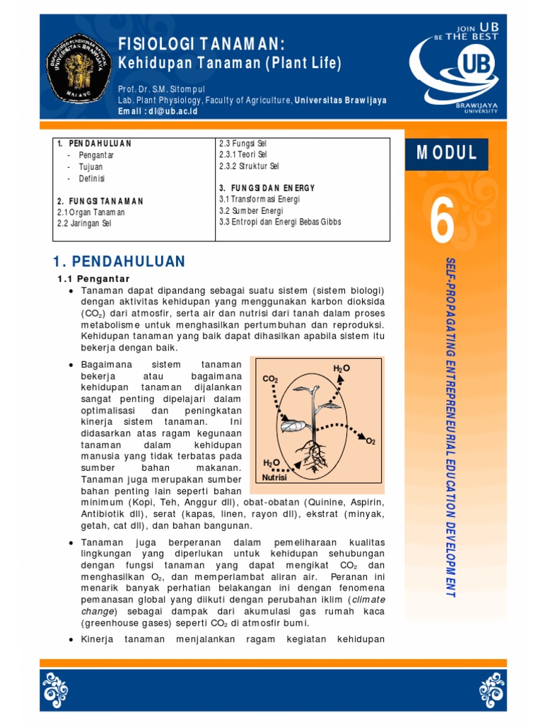 Contoh Modul | PDF