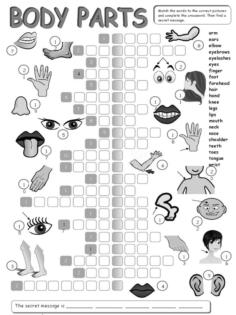 Body Parts Full | PDF