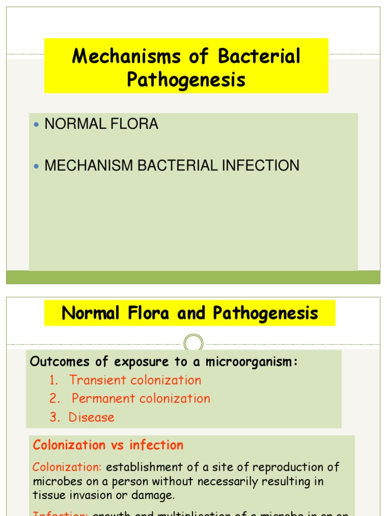 Mechanisms of Bacterial Pathogenesis: Normal Flora | PDF | Immune ...