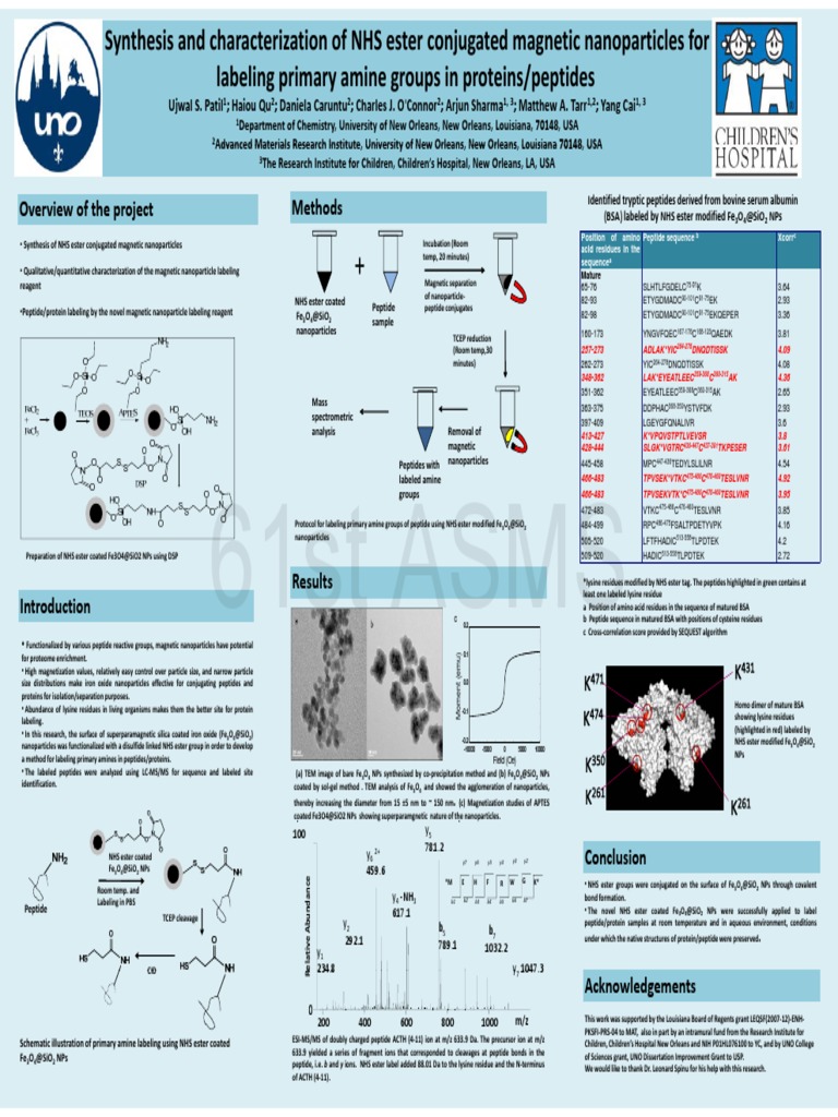 Synthesis and Characterization of NHS Ester Conjugated Magnetic ...