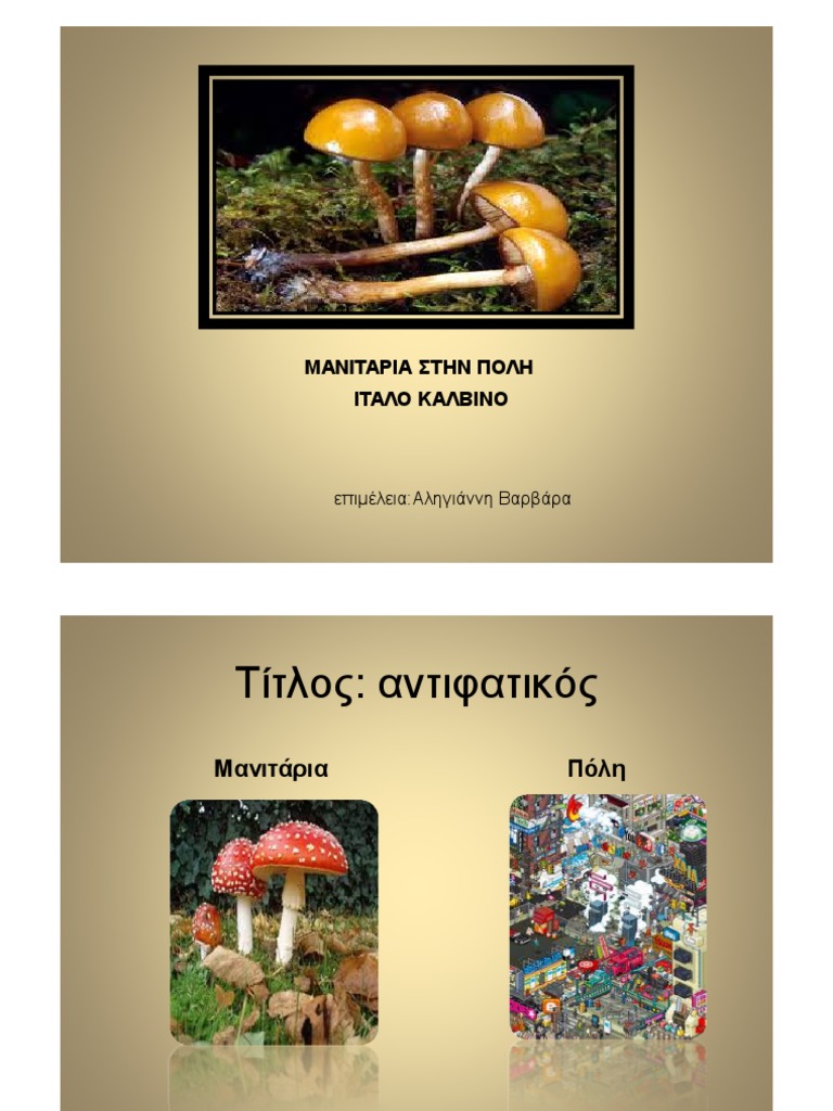 ΜΑΝΙΤΑΡΙΑ ΣΤΗΝ ΠΟΛΗ | PDF