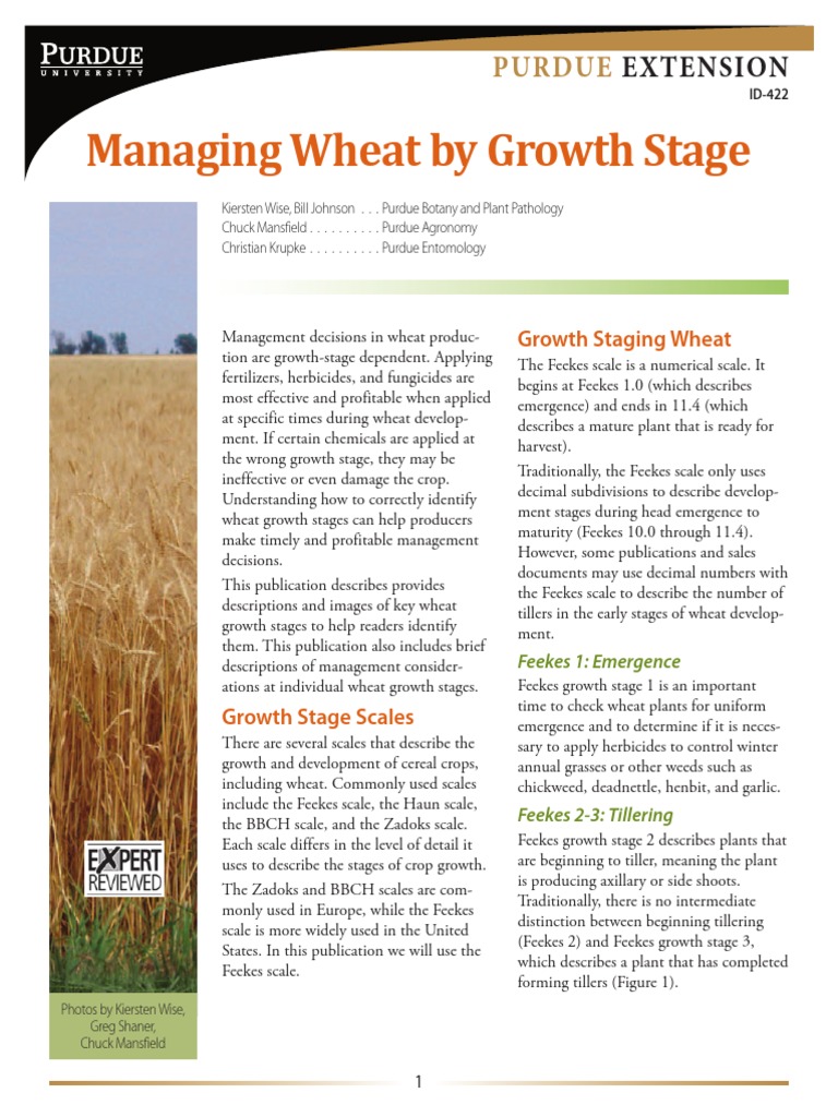 Wheat Growth Stage | PDF | Wheat | Herbicide