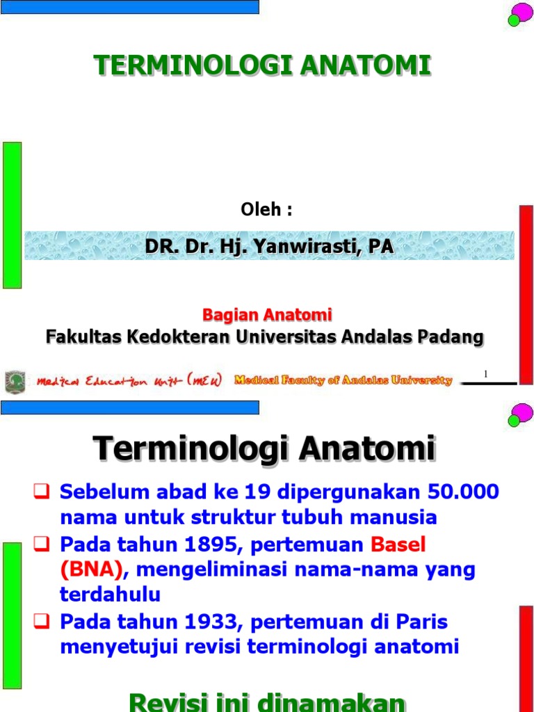 Terminologi Anatomi | PDF