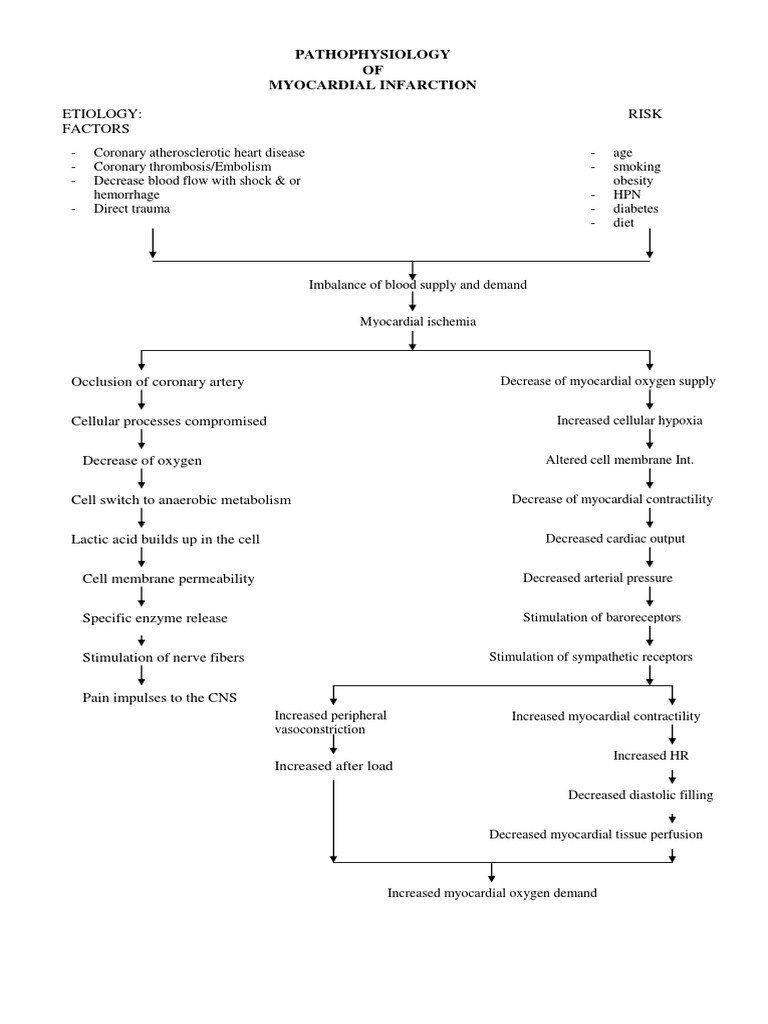 Acute Myocardial Infarction Pathophysiology