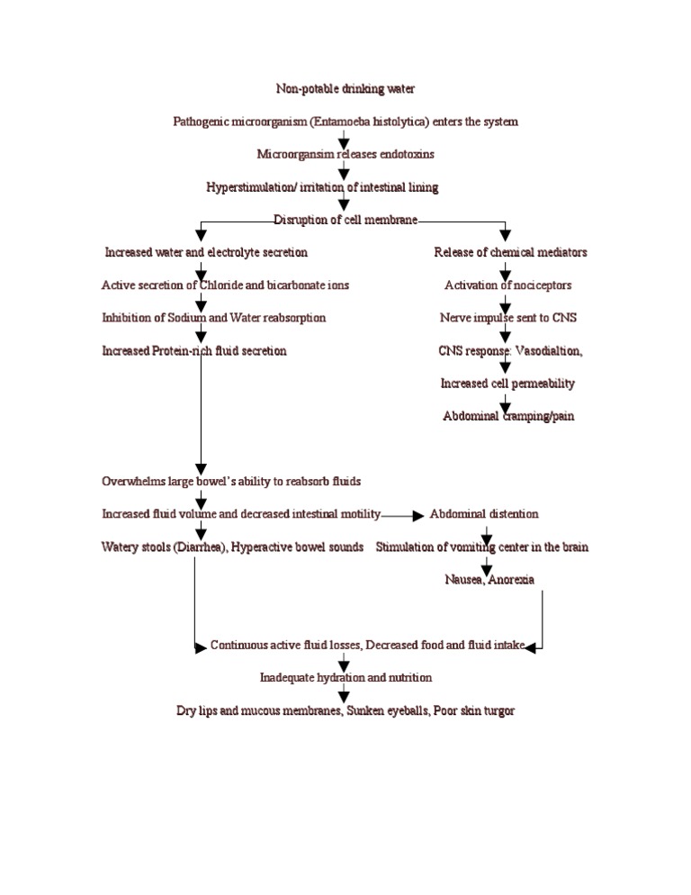 Pathophysiology of AGE | PDF | Dehydration | Diarrhea