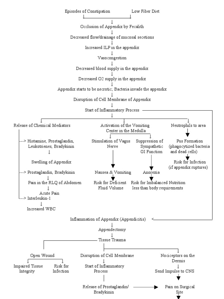 Pathophysiology of Appendicitis Explained | PDF | Inflammation ...