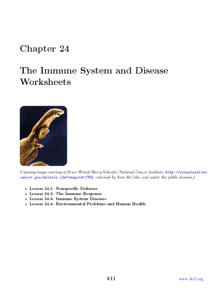 CK-12 Biology Chapter 24 Worksheets | PDF | Lymphocyte | Immune System