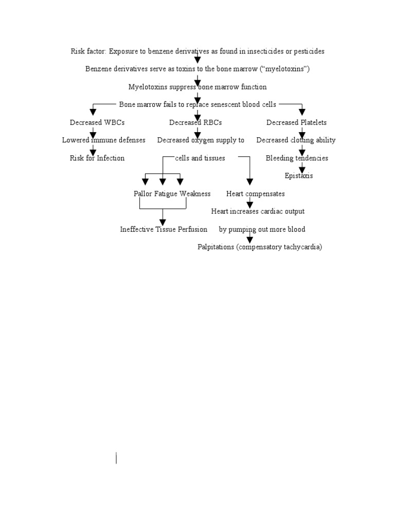 Aplastic Anemia Pathophysiology