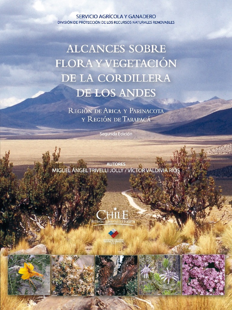 Alcances Sobre Flora y Vegetacion de La Cordillera de Los Andes | PDF ...