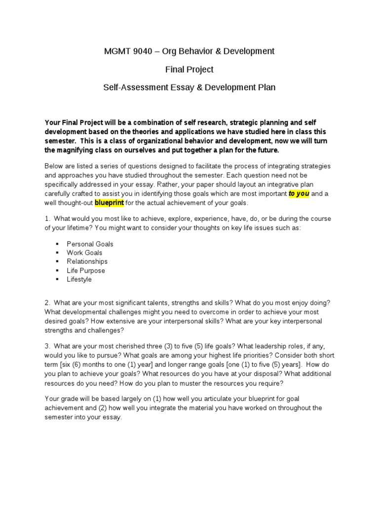 Self-Assessment & Development Plan | PDF | Career & Growth | Business