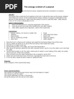 Csec Lab Format | PDF | Experiment | Methodology