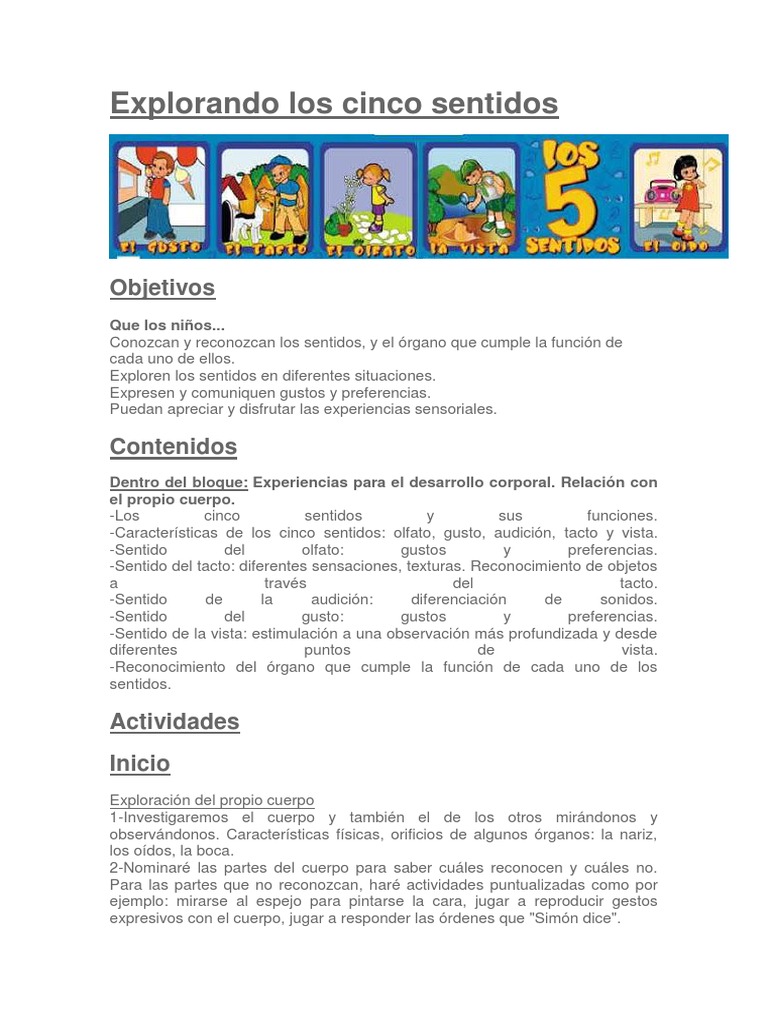 Actividades para explorar los cinco sentidos | PDF | Imagen | Gusto
