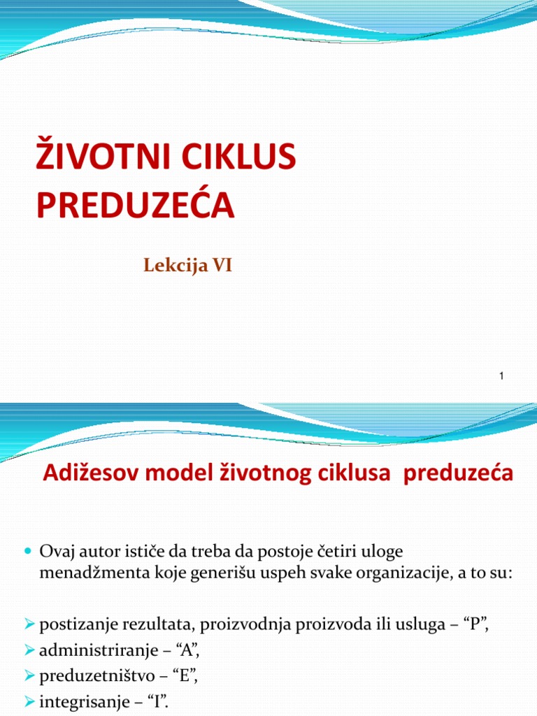 Zivotni Ciklus Preduzeca | PDF