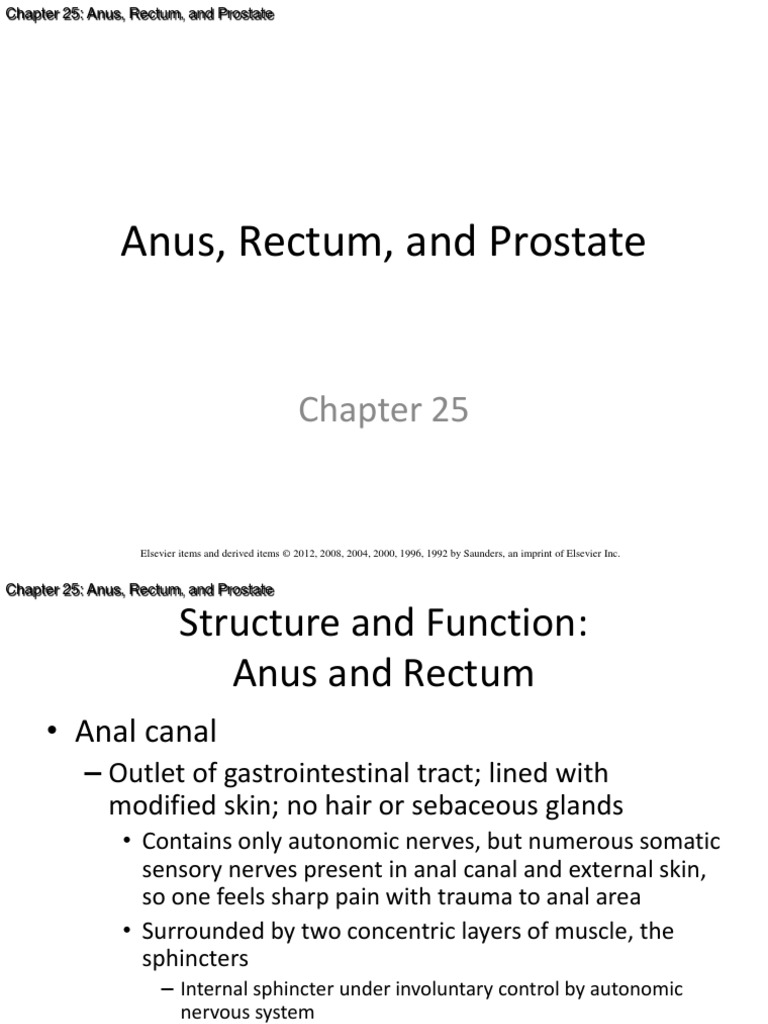 Chapter 25 Anus Rectum And Prostate Pdf Rectum Hemorrhoid