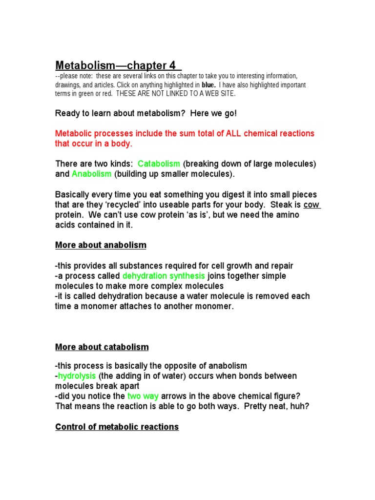 Chapter 4 - Cellular Metabolism | PDF | Metabolism | Cellular Respiration