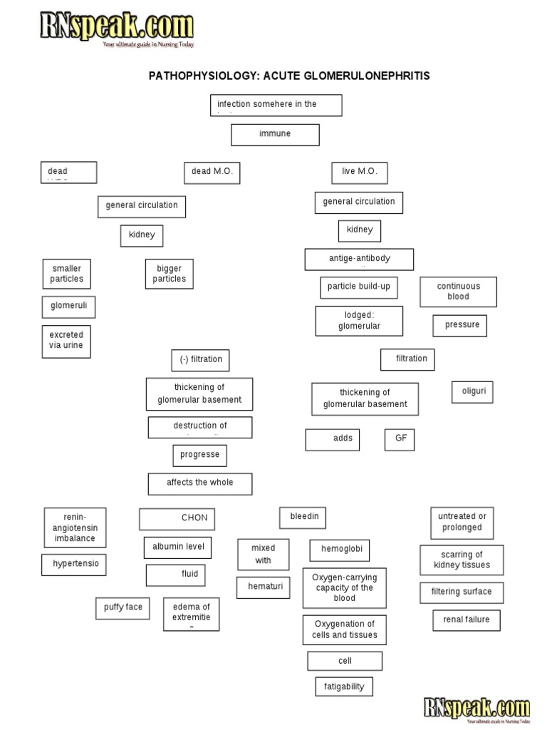 Acute Glomerulonephritis - AGN - Pathophysiology - Schematic Diagram | PDF
