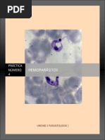 Medio MIO | PDF | Enzima | Química