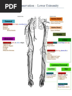 NASM Solutions Table Expanded | PDF | Foot | Anatomical Terms Of Motion