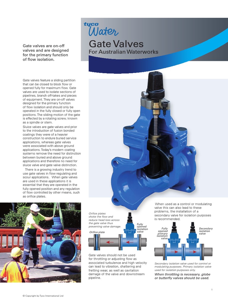 TDS Gate Valve Range Overview | PDF | Valve | Transmission (Mechanics)
