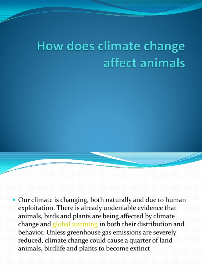 How Does Climate Change Affect Animals | PDF | Climate Change | Climate