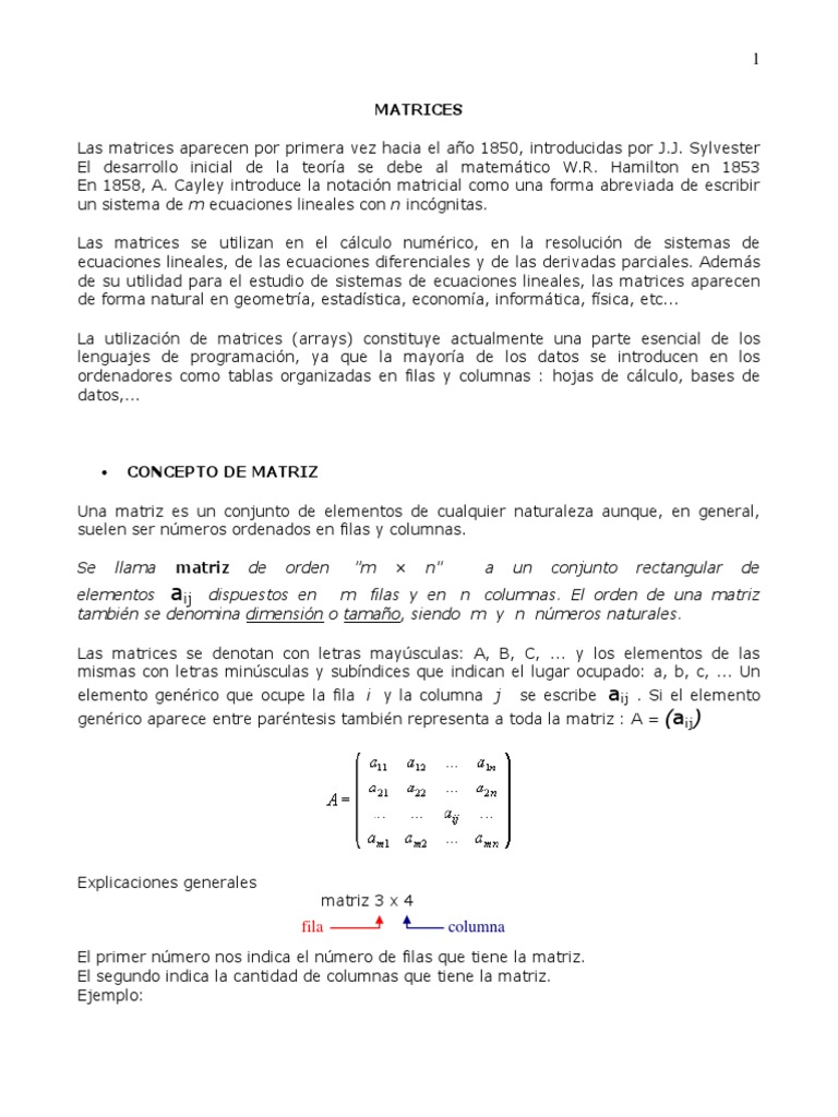 Conceptos Basicos Sobre MATRICES | PDF | Matriz (Matemáticas) | Funciones y mapeos