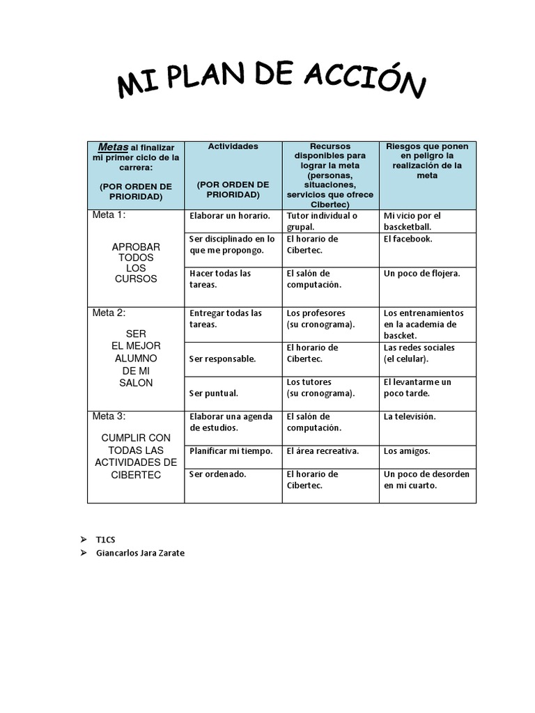 Plan de Acción | PDF